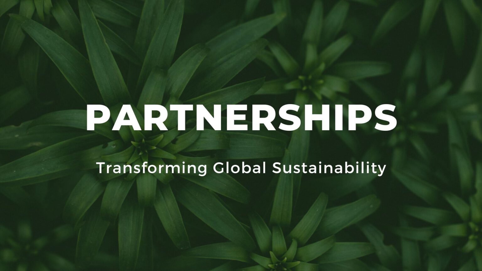 Empowering Public-Private-Philanthropic Partnerships for Global ...