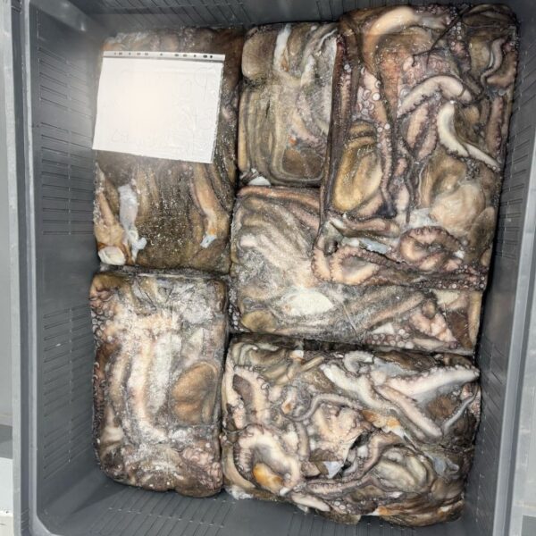 Best Practices for Achieving Climate and Nature Positive Outcomes in Fisheries and Aquaculture ...