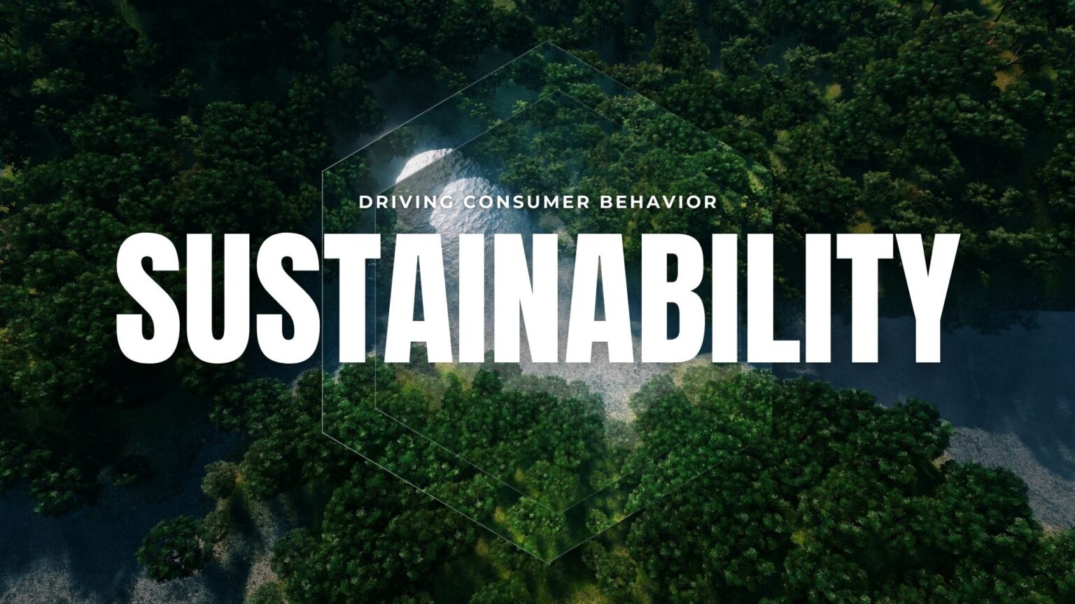 How Sustainability Is Driving Consumer Behavior in 2025 — and What It Means for Your Business ...