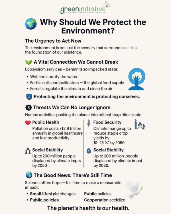 Why Should We Protect the Environment? The Urgency to Act Now - Green ...